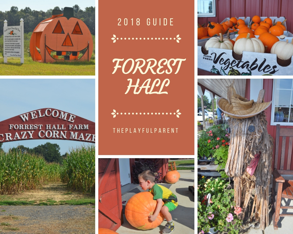 FORREST HALL FARM- PLAYFUL PARENT GUIDE