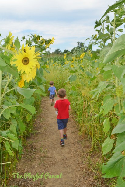 la-maze – The Playful Parent